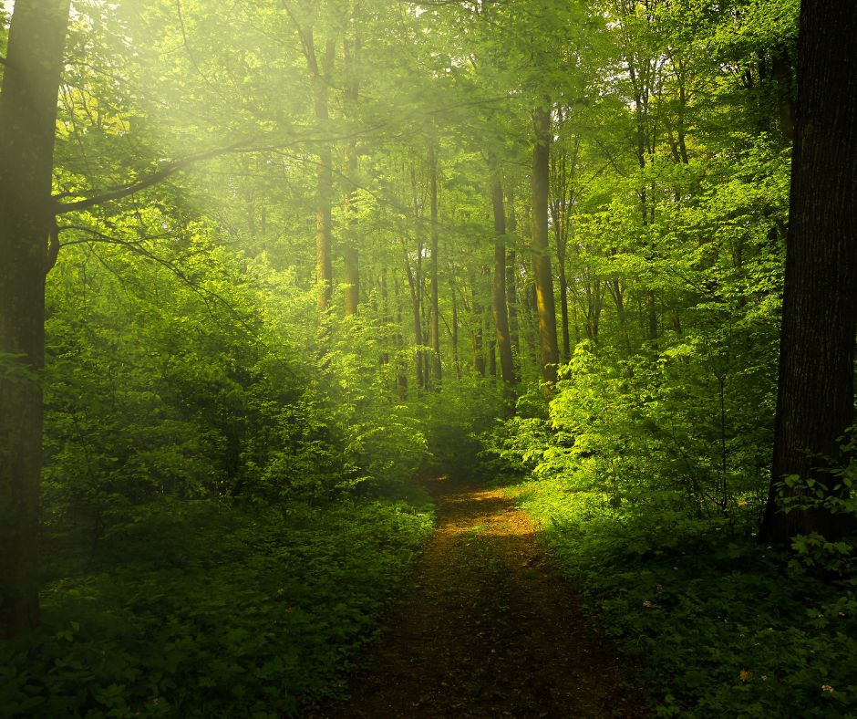 Jak na zdravý dech | kpramenizdravi.cz